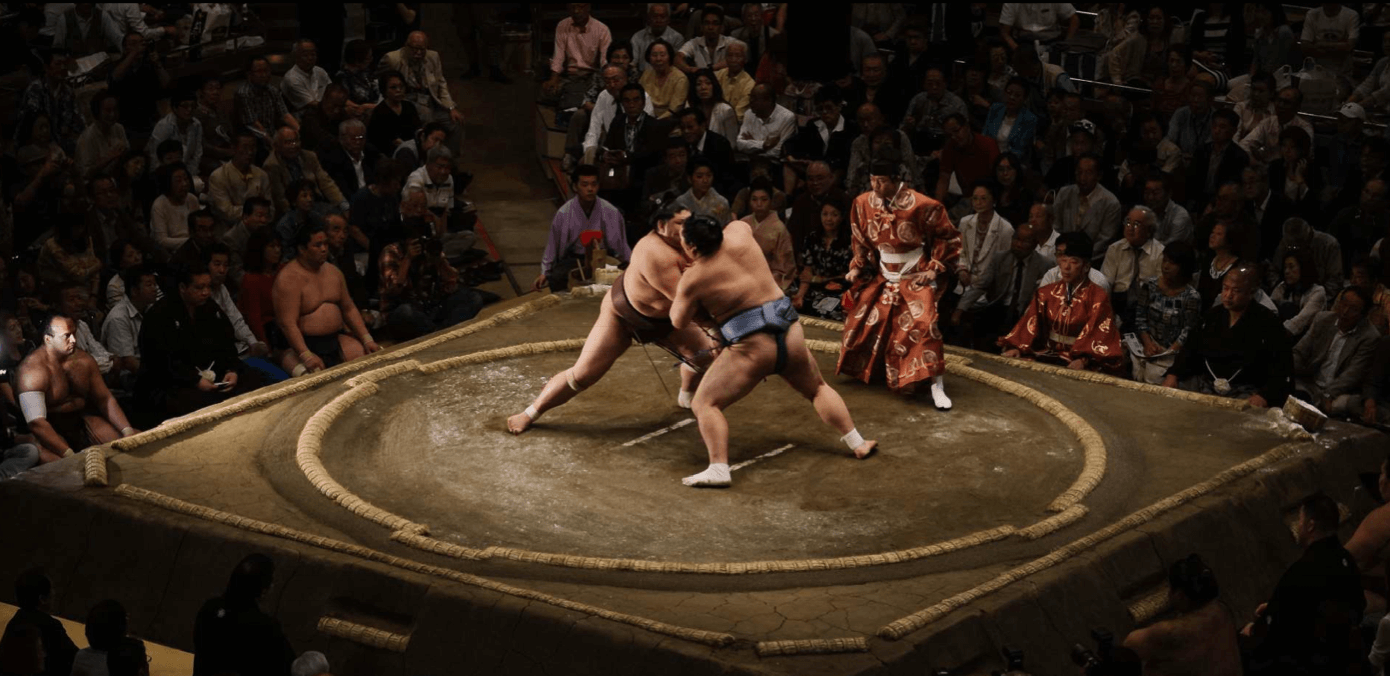 Le Sumo - En Développement - Calm